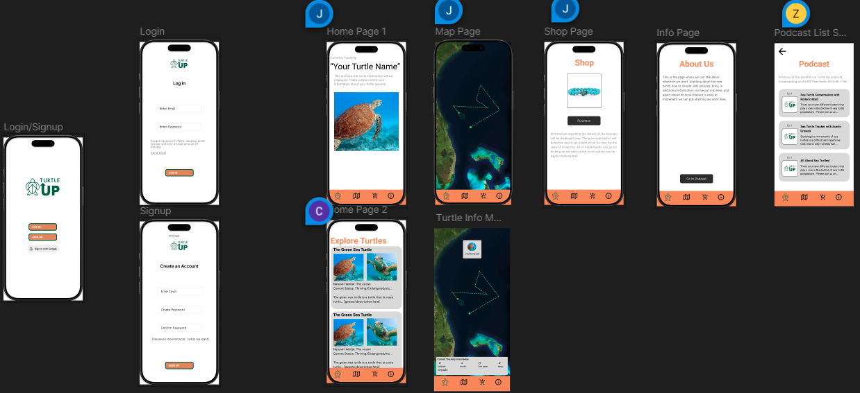 TurtleUp - Development